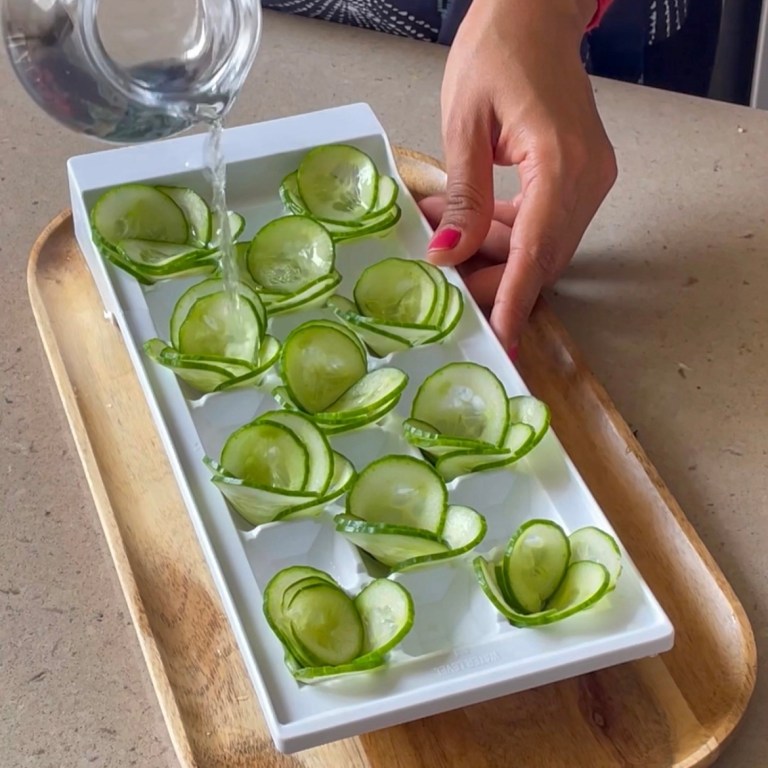 Home Hacks: How To Set Aesthetic Fruity & Floral Ice Cubes